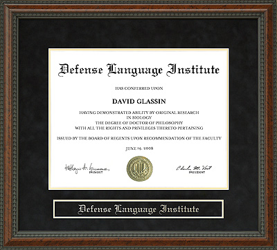 Defense Language Institute (DLI) Diploma Frame: Wordyisms